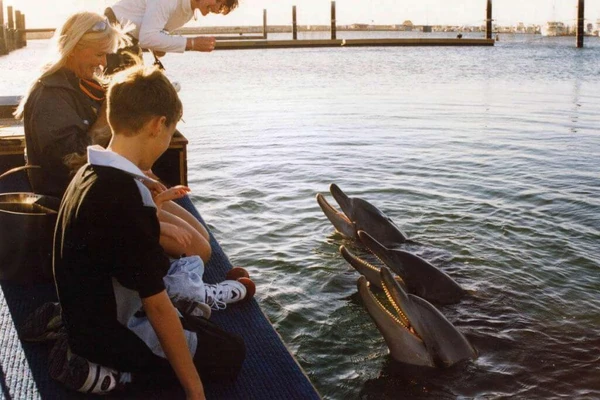 Hillary's Marina | Captive Cetaceans Wiki | Fandom