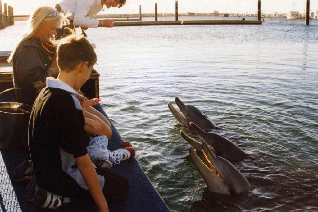 Hillary's Marina | Captive Cetaceans Wiki | Fandom