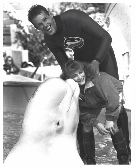 Shadow Ii Swt Captive Cetaceans Wiki Fandom