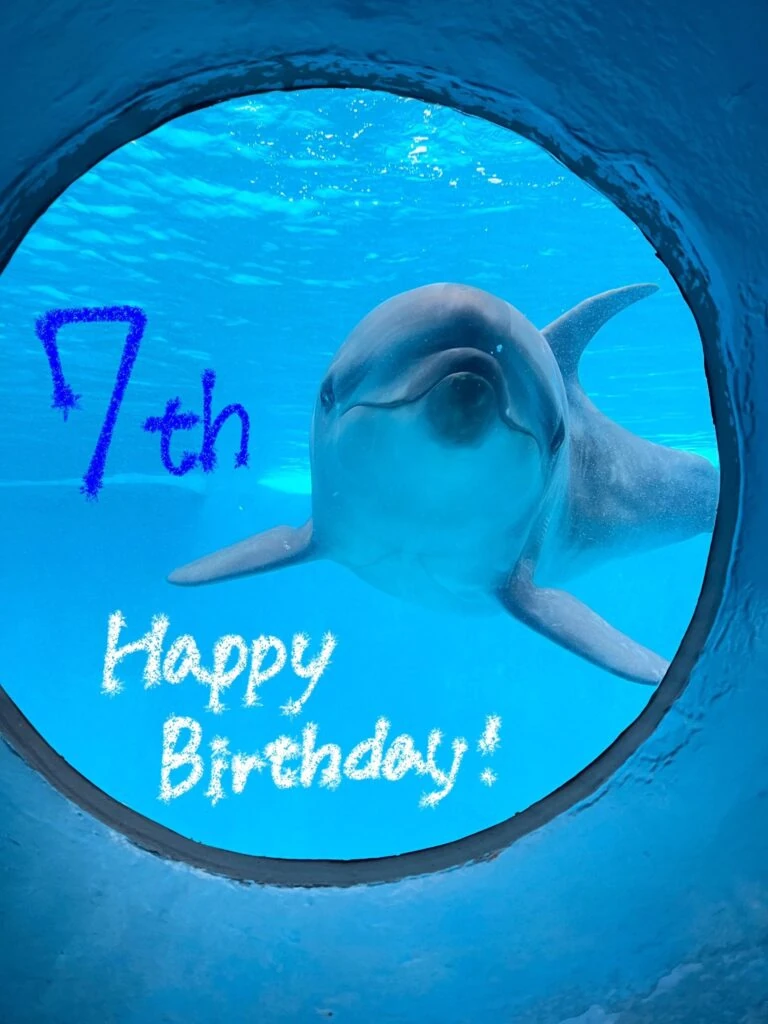 Leo (SHI) | Captive Cetaceans Wiki | Fandom