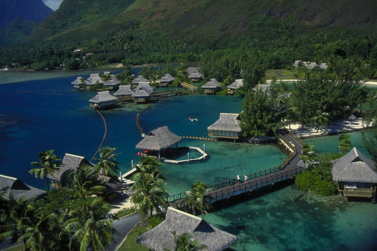 Moorea Dolphin Center | Captive Cetaceans Wiki | Fandom