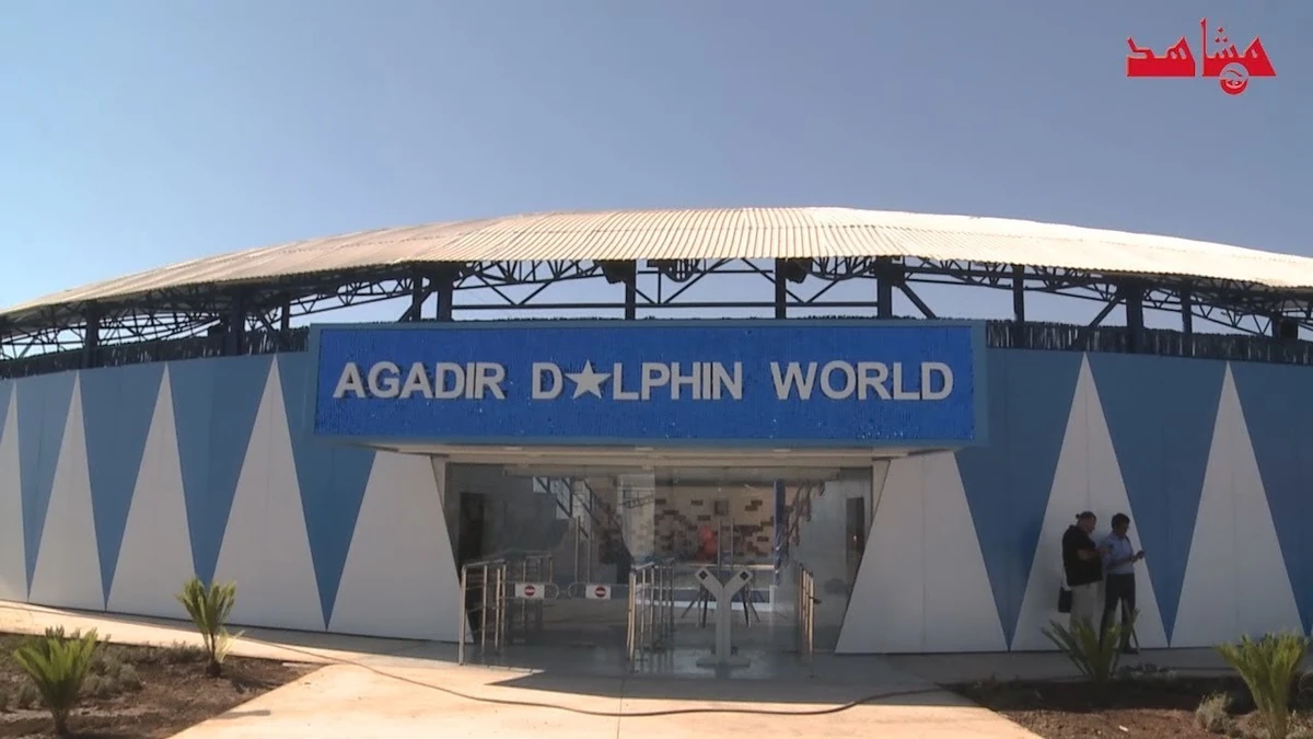 Agadir Dolphin World | Captive Cetaceans Wiki | Fandom