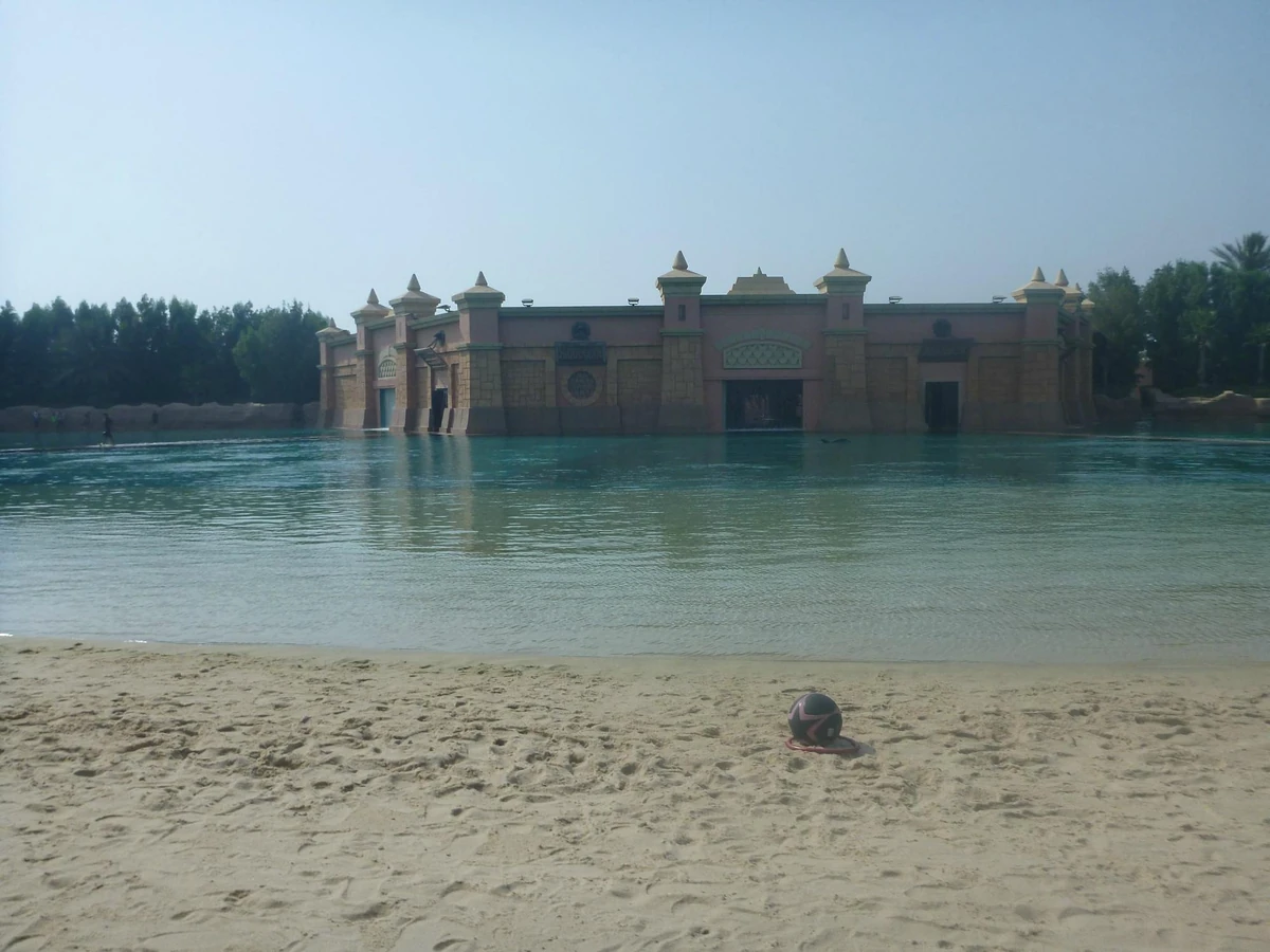 Atlantis The Palm | Captive Cetaceans Wiki | Fandom