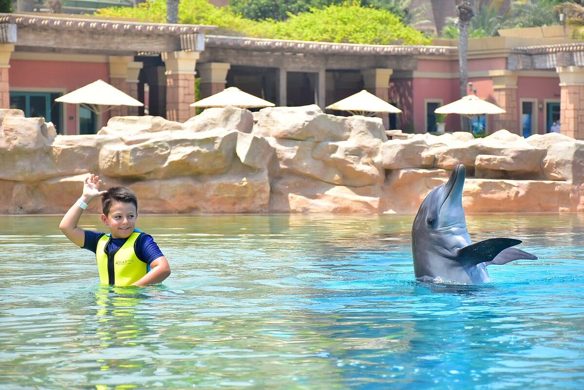 Amira Atp Captive Cetaceans Wiki Fandom