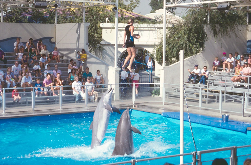 Knott's Berry Farm | Captive Cetaceans Wiki | Fandom