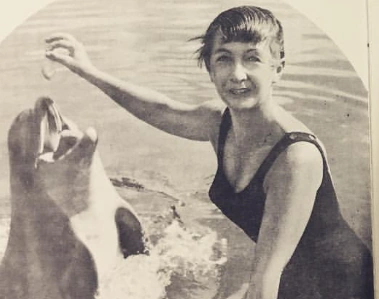 Dal (POBB) | Captive Cetaceans Wiki | Fandom