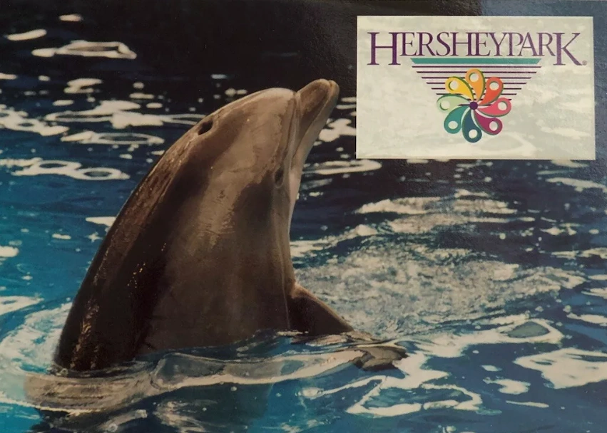 Wee Tee (AB) | Captive Cetaceans Wiki | Fandom