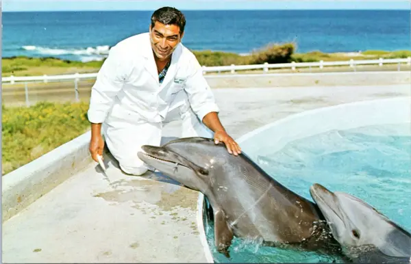 Wela (SLPH) | Captive Cetaceans Wiki | Fandom