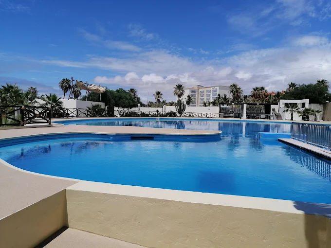 Cabo Dolphins San Jose | Captive Cetaceans Wiki | Fandom