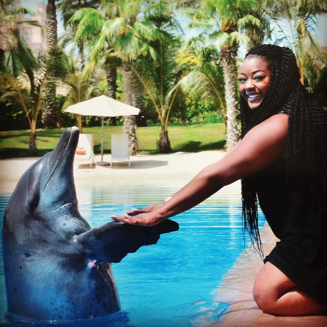 Abby (ATP) | Captive Cetaceans Wiki | Fandom