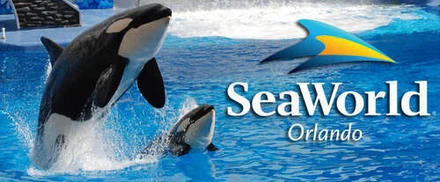 Takara | CaptiveOrca Wiki | Fandom