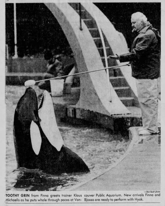 Finna | CaptiveOrca Wiki | Fandom