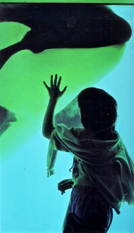 Finna | CaptiveOrca Wiki | Fandom