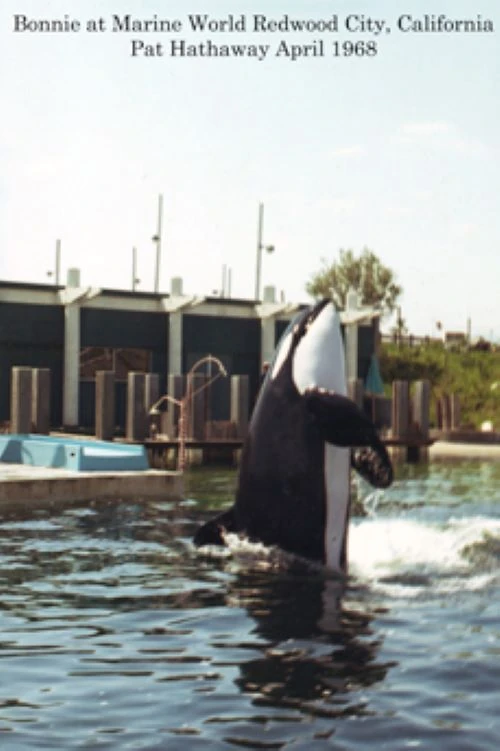 Bonnie | CaptiveOrca Wiki | Fandom