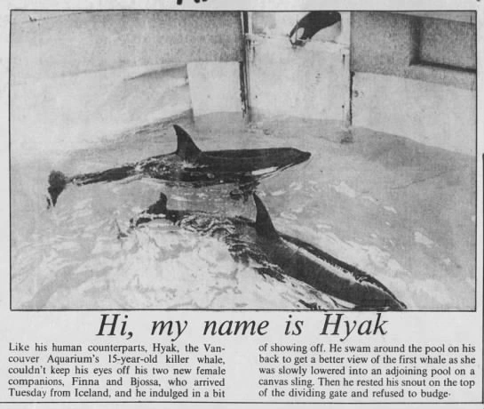 Finna | CaptiveOrca Wiki | Fandom