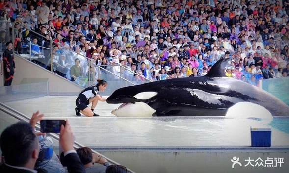 Dora | CaptiveOrca Wiki | Fandom