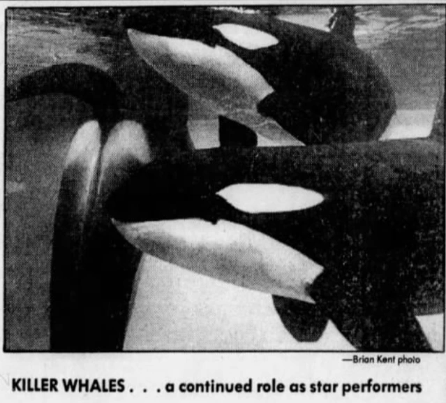 Finna | CaptiveOrca Wiki | Fandom