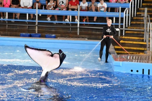 Tuar | CaptiveOrca Wiki | Fandom