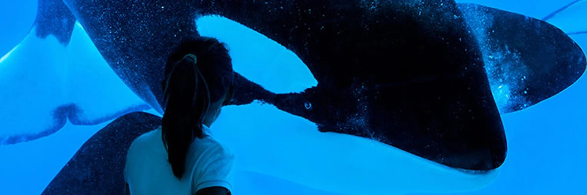 Kayla | CaptiveOrca Wiki | Fandom