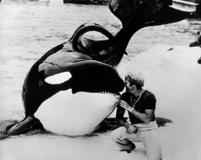 Winston | CaptiveOrca Wiki | Fandom