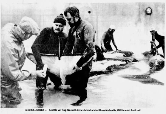 Finna | CaptiveOrca Wiki | Fandom