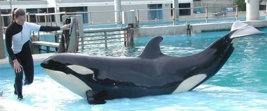 Halyn | CaptiveOrca Wiki | Fandom