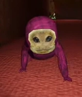 Baby Capuchin | Capuchin Wiki | Fandom