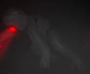 Capuchin dave | Capuchin Wiki | Fandom