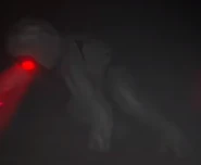 Capuchin dave | Capuchin Wiki | Fandom