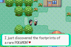 Footprints | CAPX Wiki | Fandom