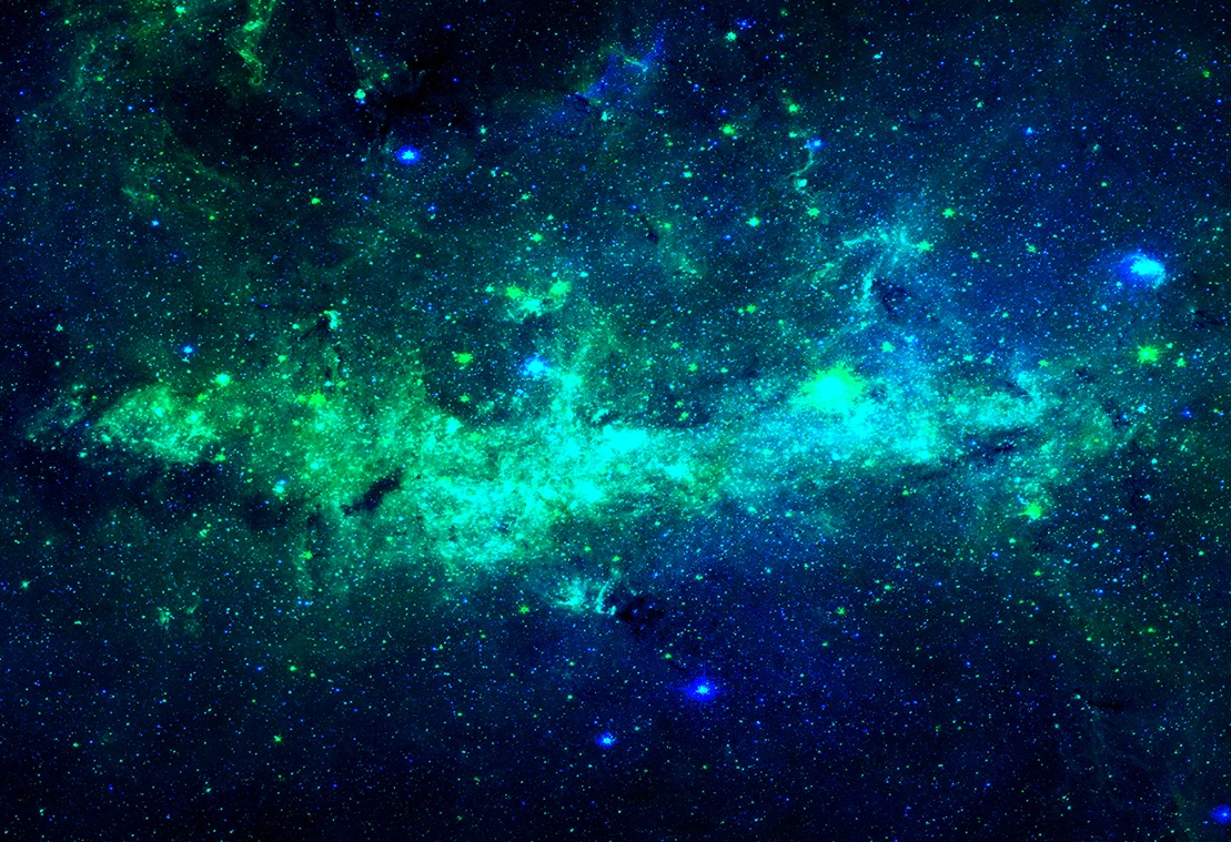 Kuwhaka | Capy Squad Wikia | Fandom