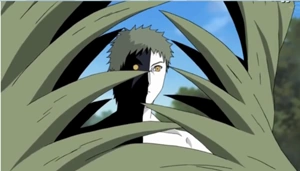 Zetsu | Wiki Caracteres | Fandom