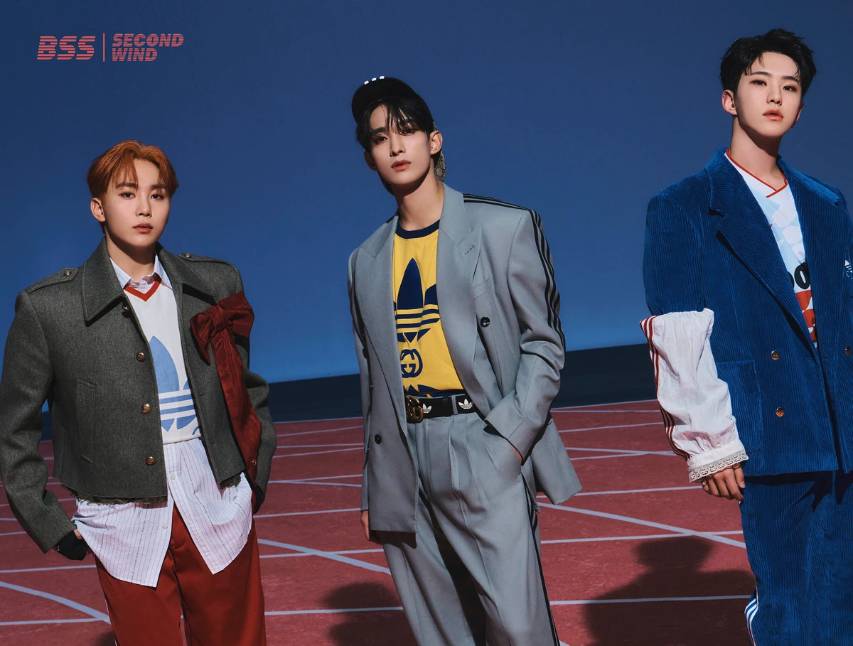 BSS | SEVENTEEN Wiki | Fandom