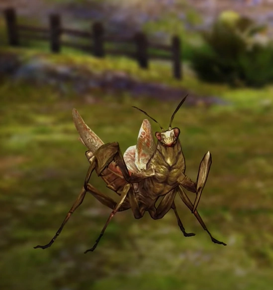 Praying Mantis | Caravan Stories Wiki | Fandom