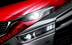 Strandead | Car City Wiki | Fandom