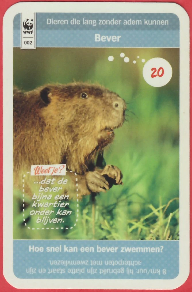 Bever | CardGuide Wiki | Fandom