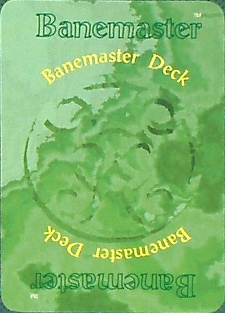 BaneMaster: The Adventure | CardGuide Wiki | Fandom