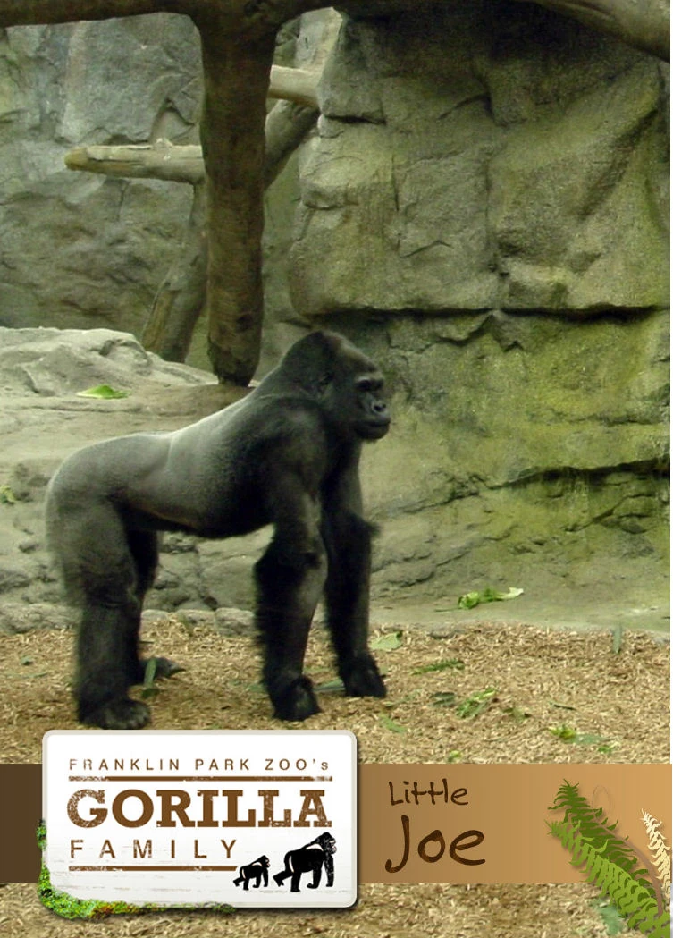 Little Joe | CardGuide Wiki | Fandom