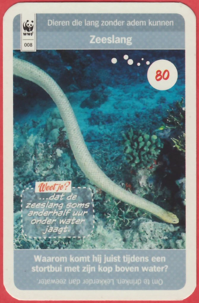 Zeeslang | CardGuide Wiki | Fandom