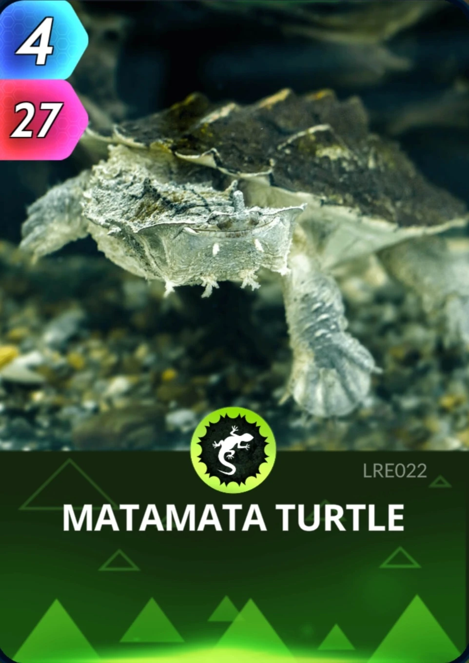 Matamata Turtle | Cards, the Universe and Everything Wiki | Fandom