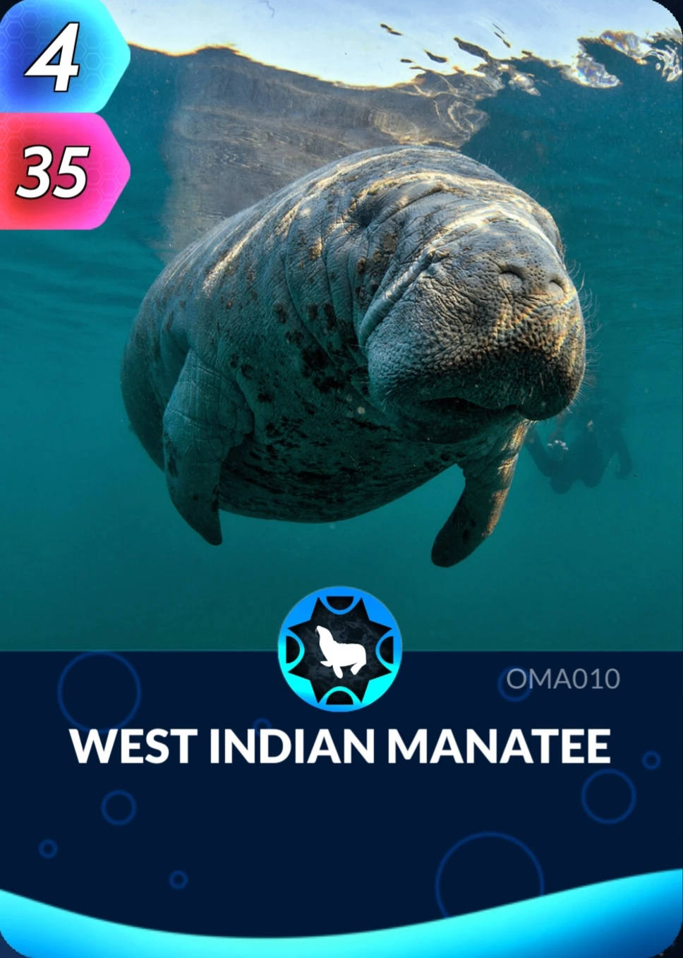 West Indian Manatee | Cards, the Universe and Everything Wiki | Fandom