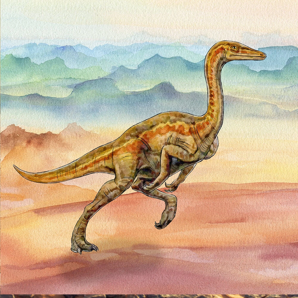 Ornithomimus | Cards, the Universe and Everything Wiki | Fandom