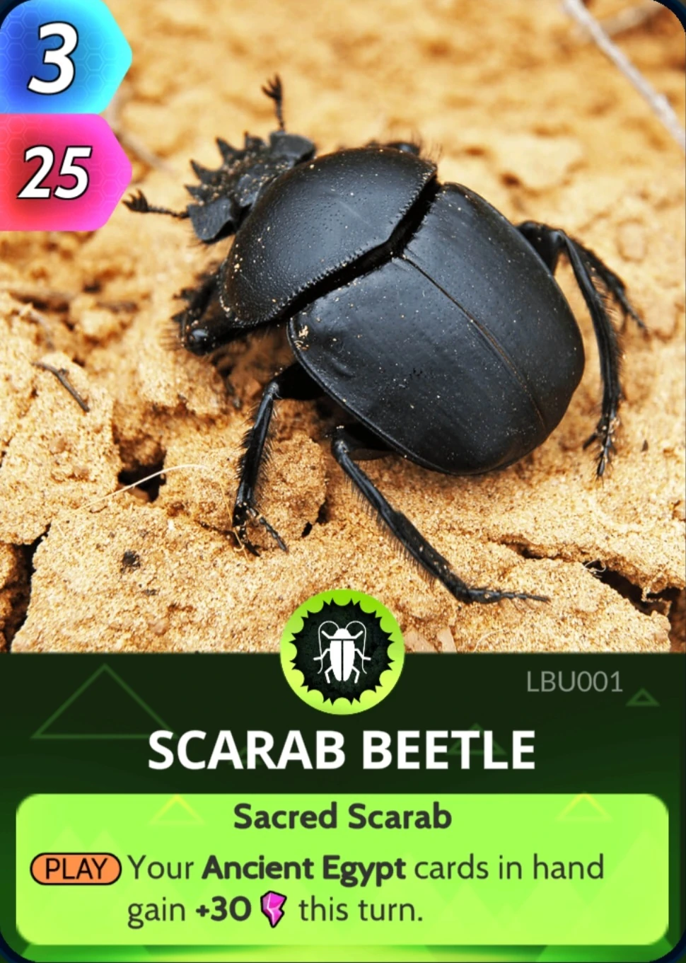 Scarab Beetle | Cards, the Universe and Everything Wiki | Fandom
