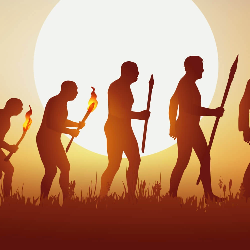 Missing Link | Cards, the Universe and Everything Wiki | Fandom