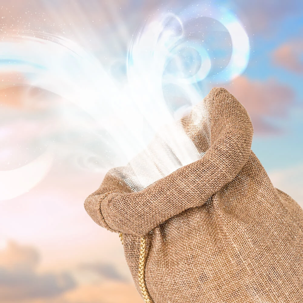 The Bag of Wind | Cards, the Universe and Everything Wiki | Fandom