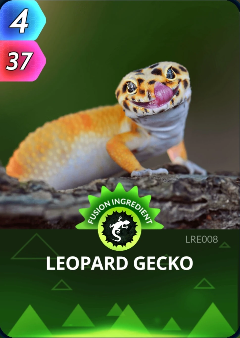 Leopard Gecko | Cards, the Universe and Everything Wiki | Fandom