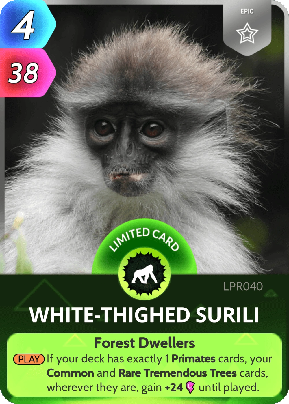 White-Thighed Surili | Cards, the Universe and Everything Wiki | Fandom