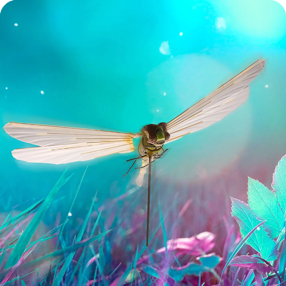 Insectothopter | Cards, the Universe and Everything Wiki | Fandom