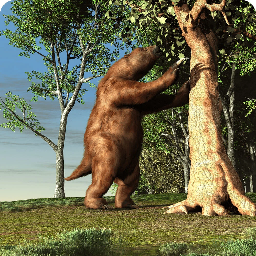 Megatherium | Cards, the Universe and Everything Wiki | Fandom