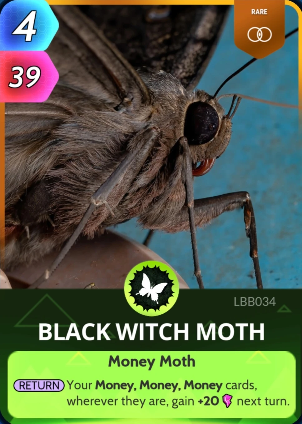 Black Witch Moth | Cards, the Universe and Everything Wiki | Fandom